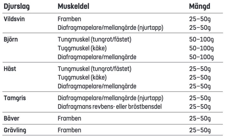 Trikiner - Fakta om vilt & hur du tar trikinprov - Vidilab